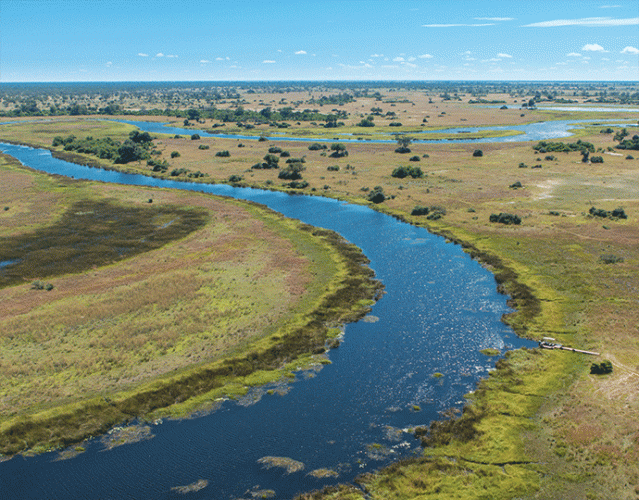 Selinda - Luxury Safari Company