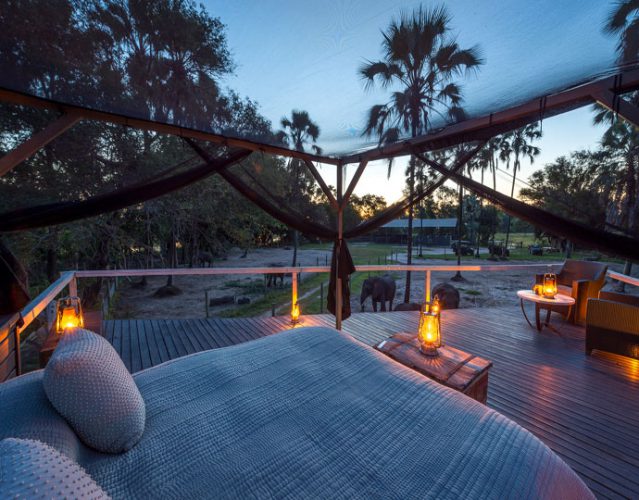 Abu Camp - Luxury Safari Company